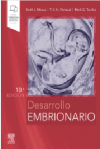 Sistema Bibliotecas UDP - Universidad Diego Portales | Desarrollo Embri